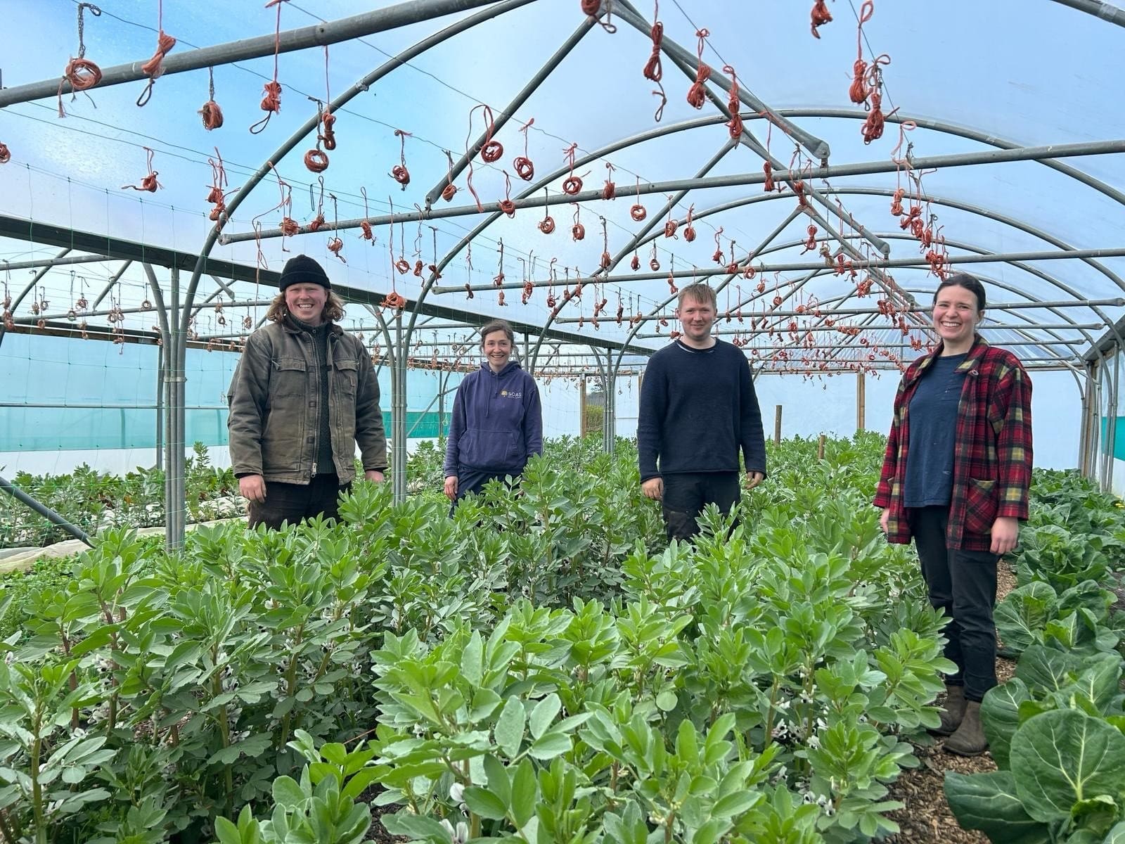 Two Fife Growers Unite to Expand Vegetable Box Delivery